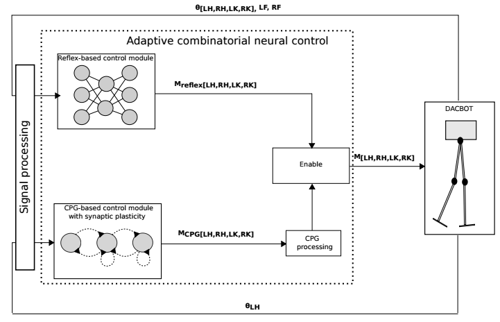 Locomotion – ENS-LAB