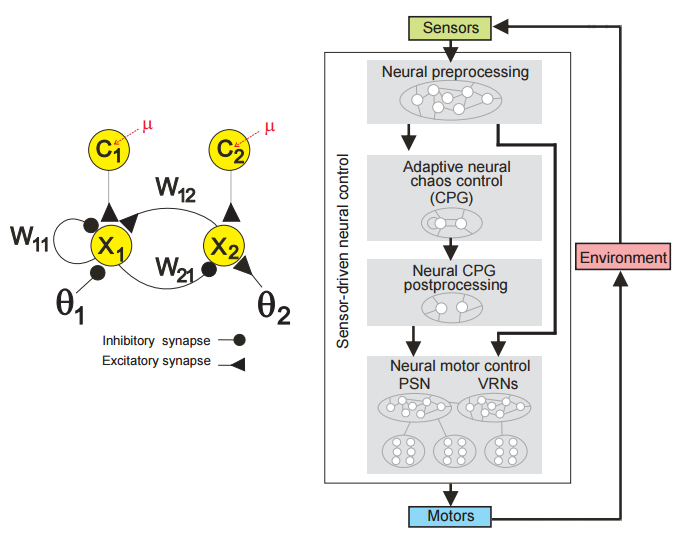 Locomotion – ENS-LAB