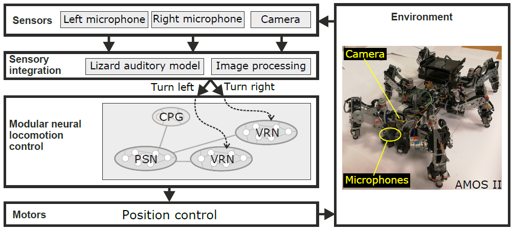 Multisensory integration – ENS-LAB