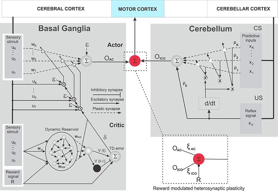 Learning & memory – ENS-LAB