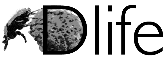 Projects – ENS-LAB