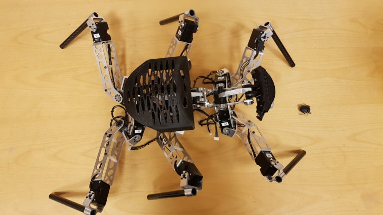 Dung beetle-like robots – ENS-LAB