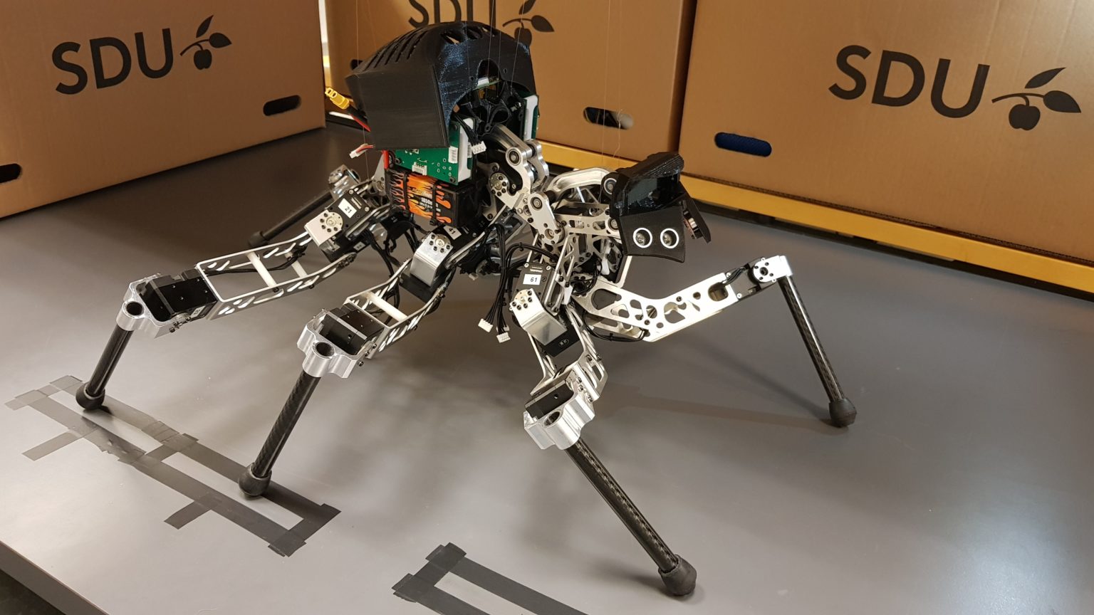 Dung beetle-like robots – ENS-LAB