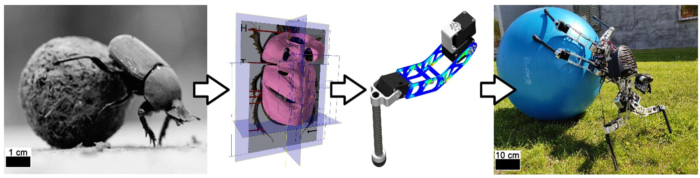 Intelligent mechanics & modular structure – ENS-LAB