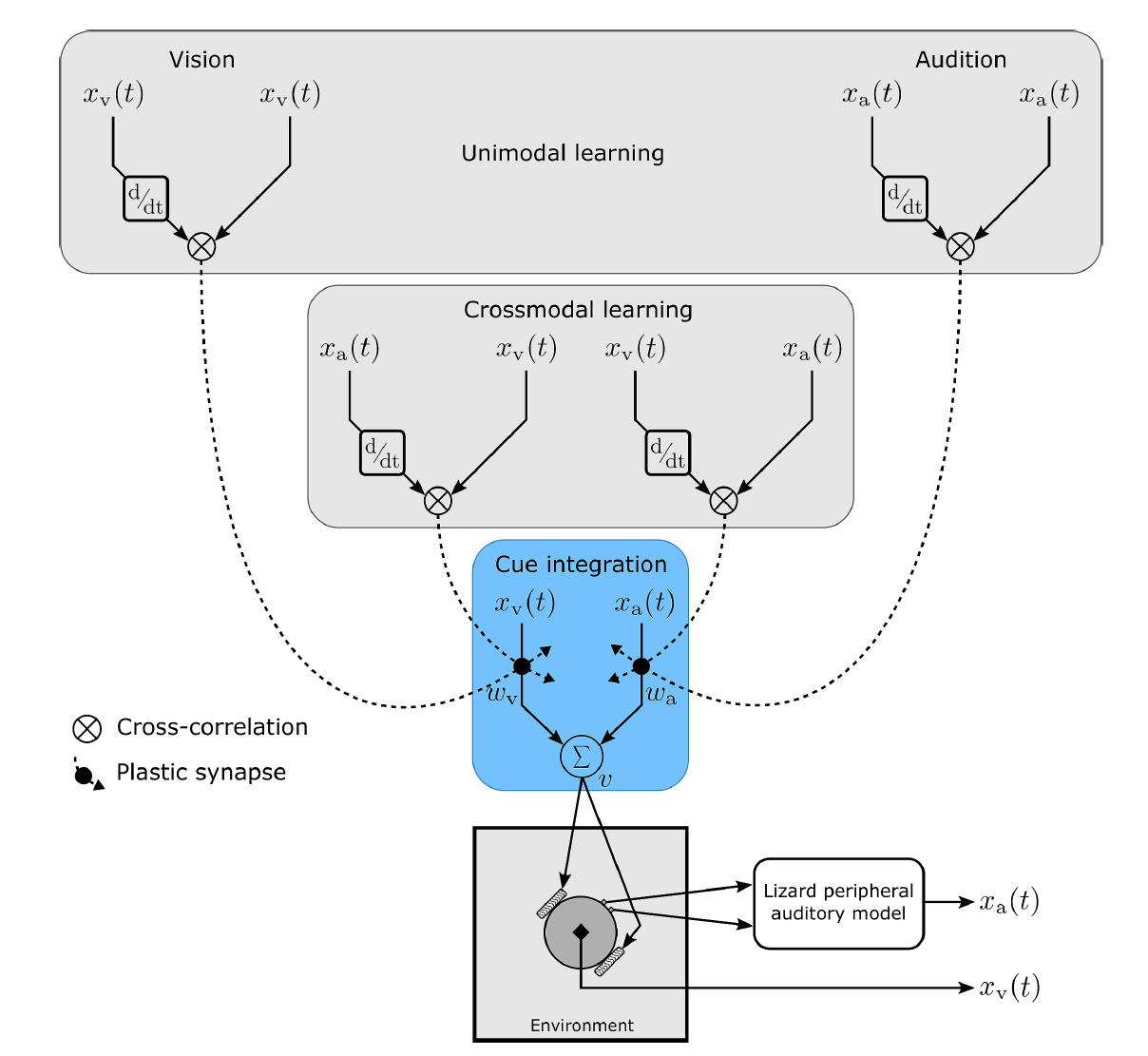 Multisensory integration – ENS-LAB